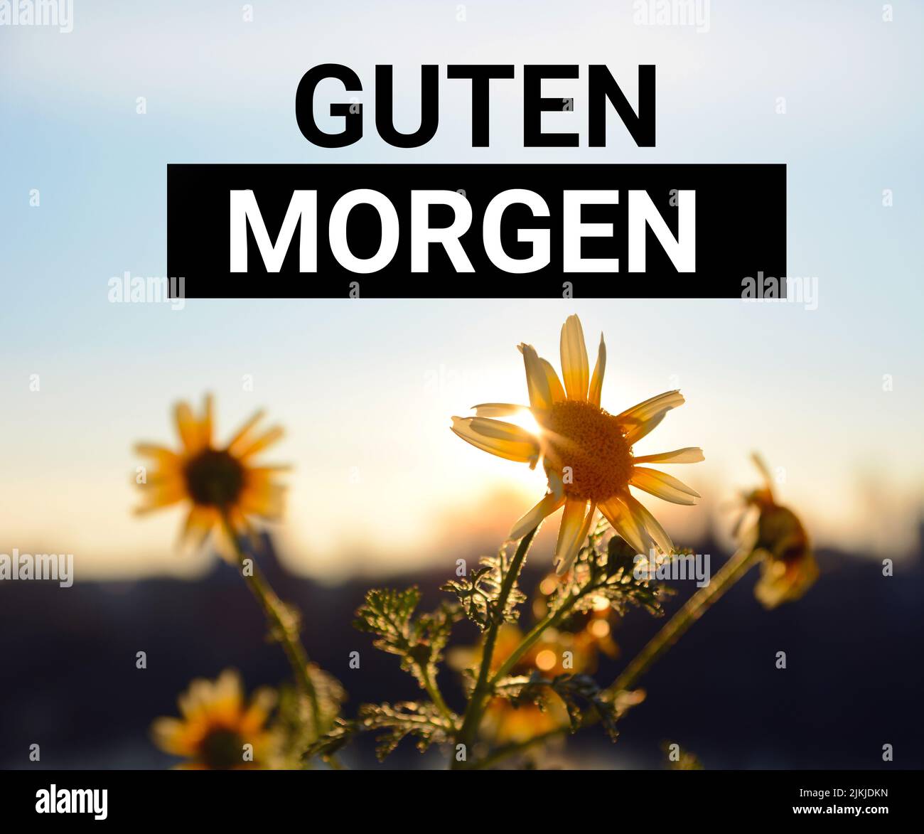 Good morning nature hi-res stock photography and images - Alamy
