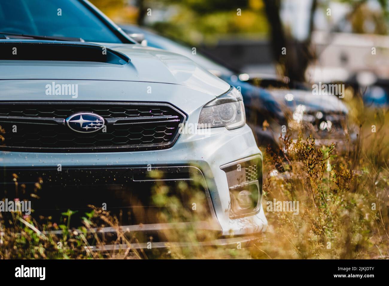 A selective focus shot of the front end of a 2018 Subaru WRX Raiu ...