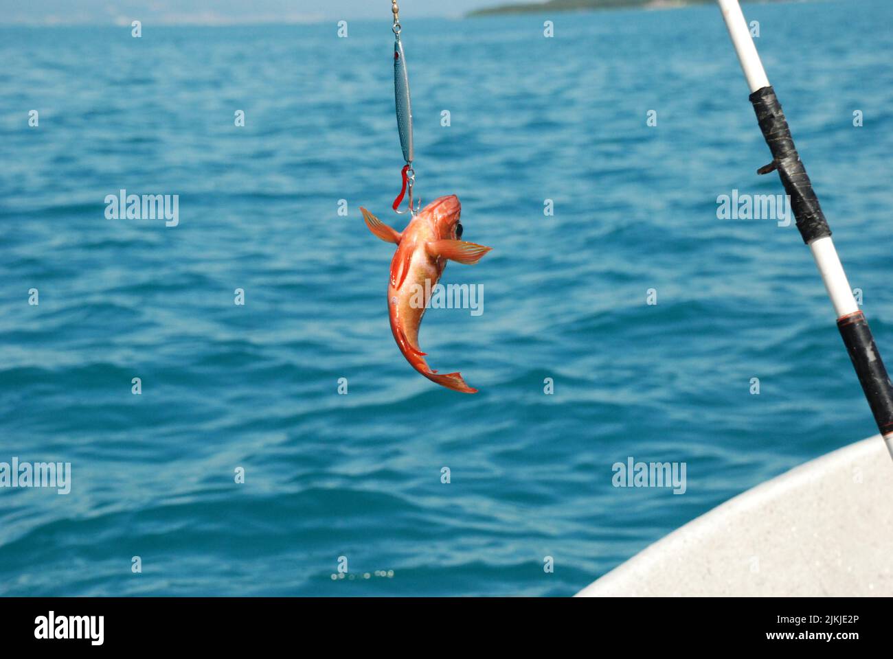 Fish on the hook hi-res stock photography and images - Alamy