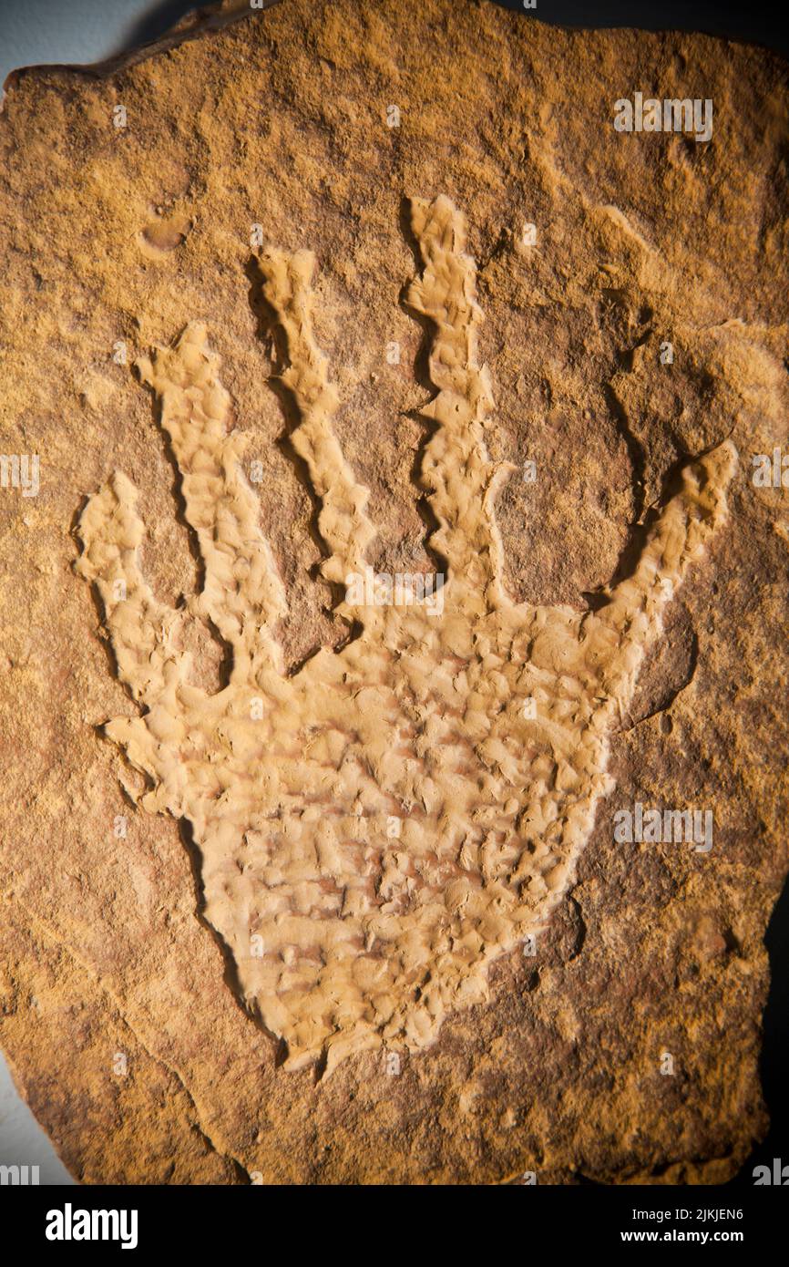 Aboriginal pictographs hi-res stock photography and images - Alamy