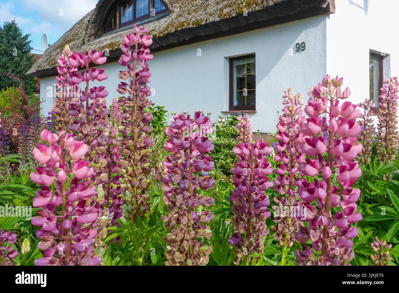 Germany, Mecklenburg-Western Pomerania, Baltic Sea, Rügen Island ...