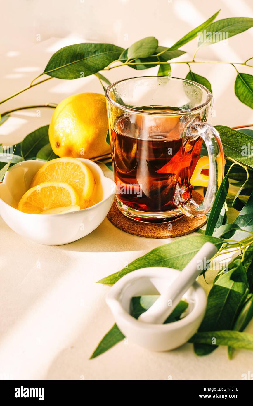 Cup tea with brewing inside, lemon, eucalyptus leaves on white table ...