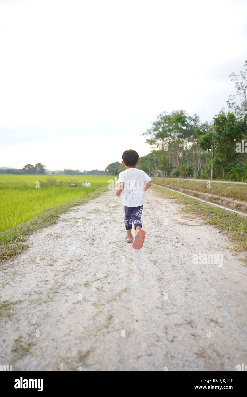 A vertical shot of the back view of the kid running along the path near ...