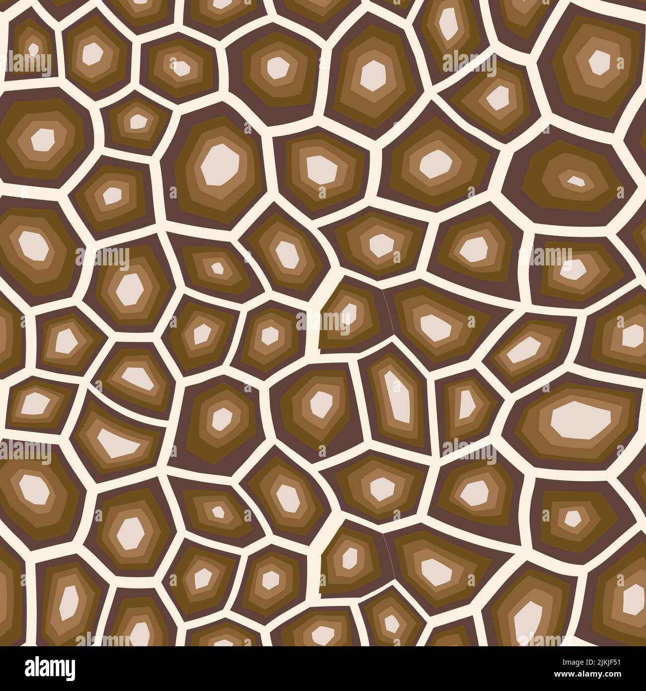 Abstract modern turtle shell seamless pattern. Animals trendy ...