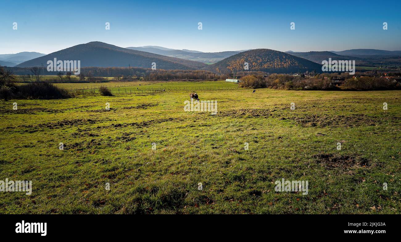 A beautiful landscape of green fields with mountains background in ...