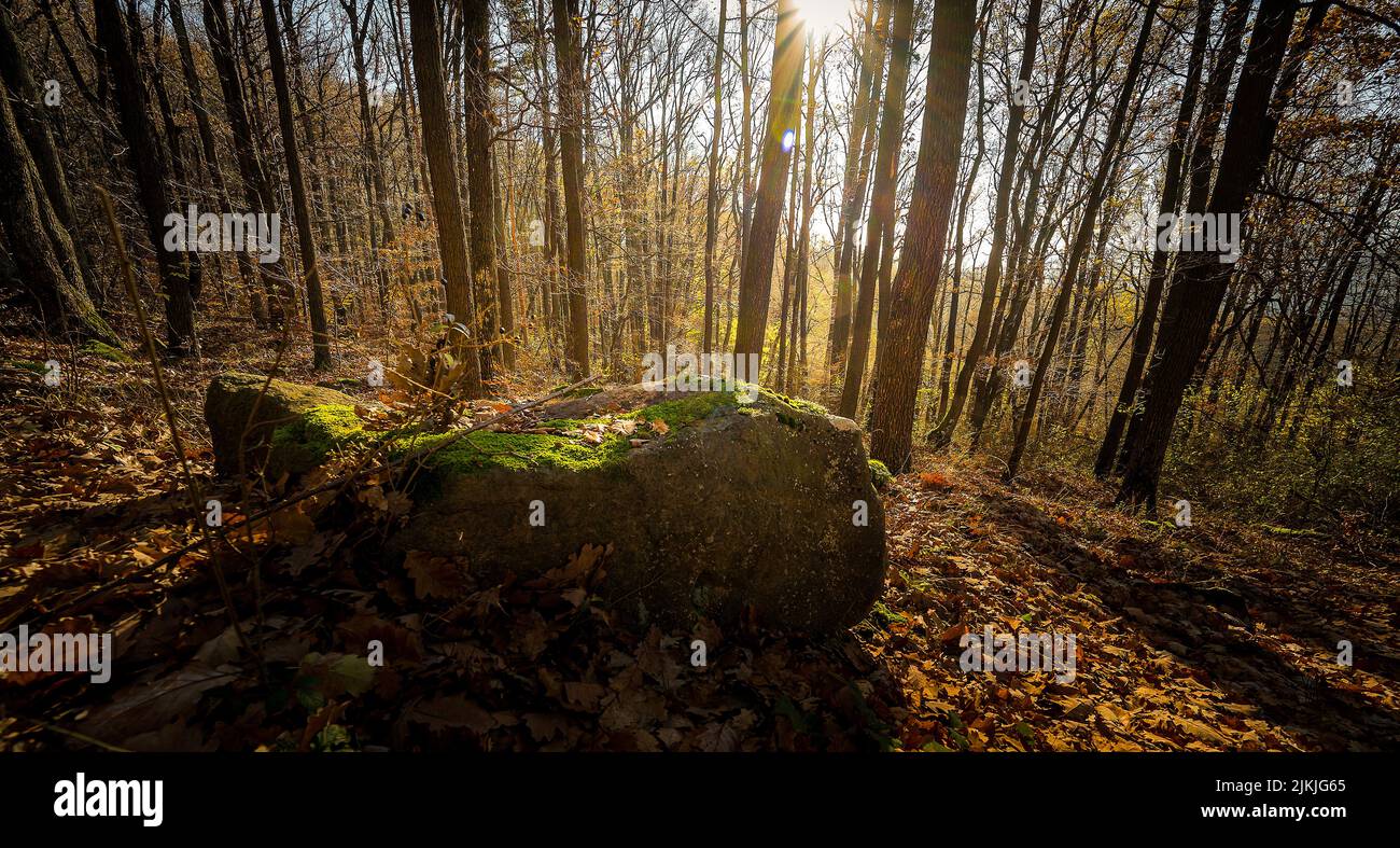 A rock boulder with sun rays through trees background in Slovakia Stock ...