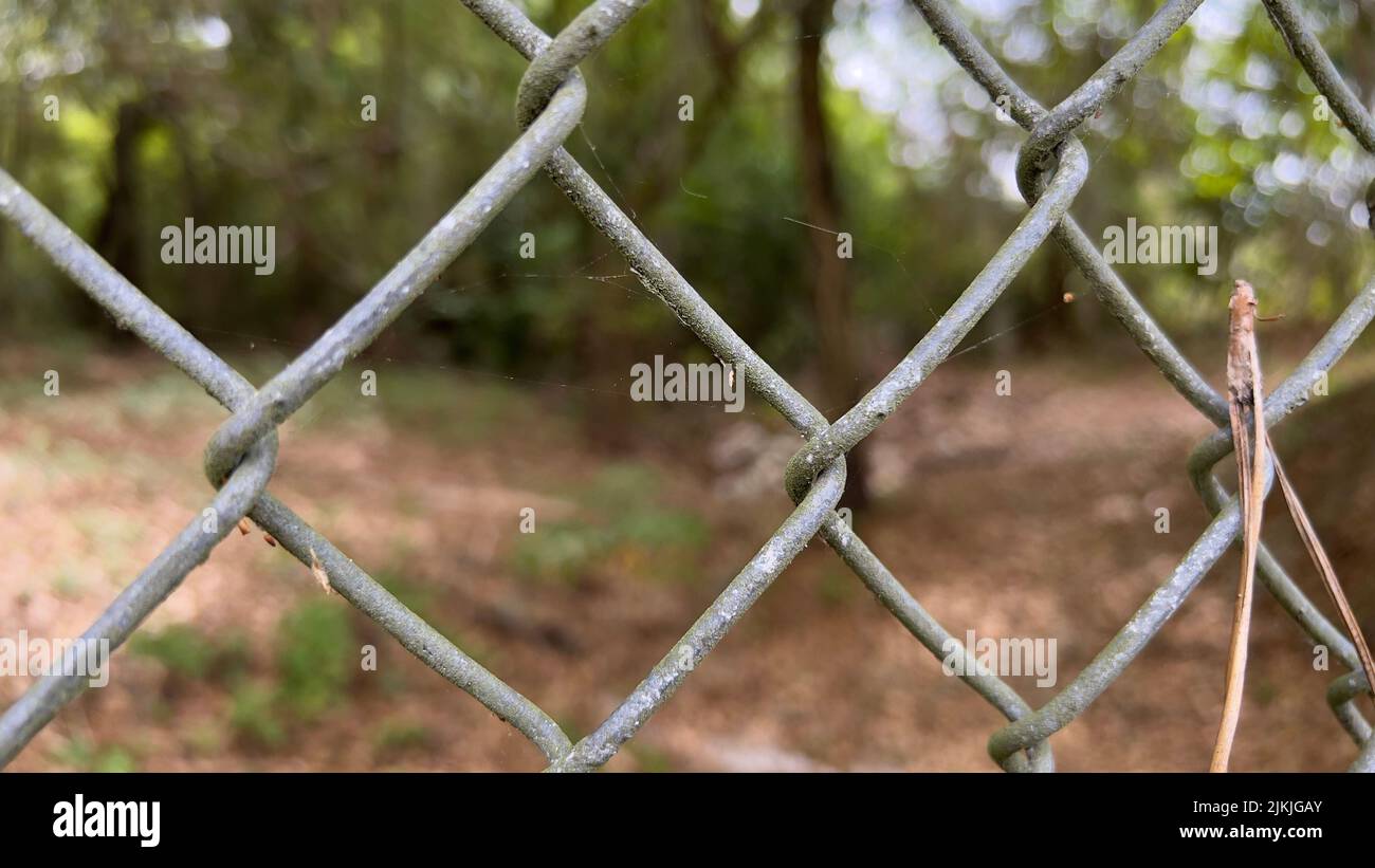 A closeup of a cyclone wire fence against trees and bushes Stock Photo ...