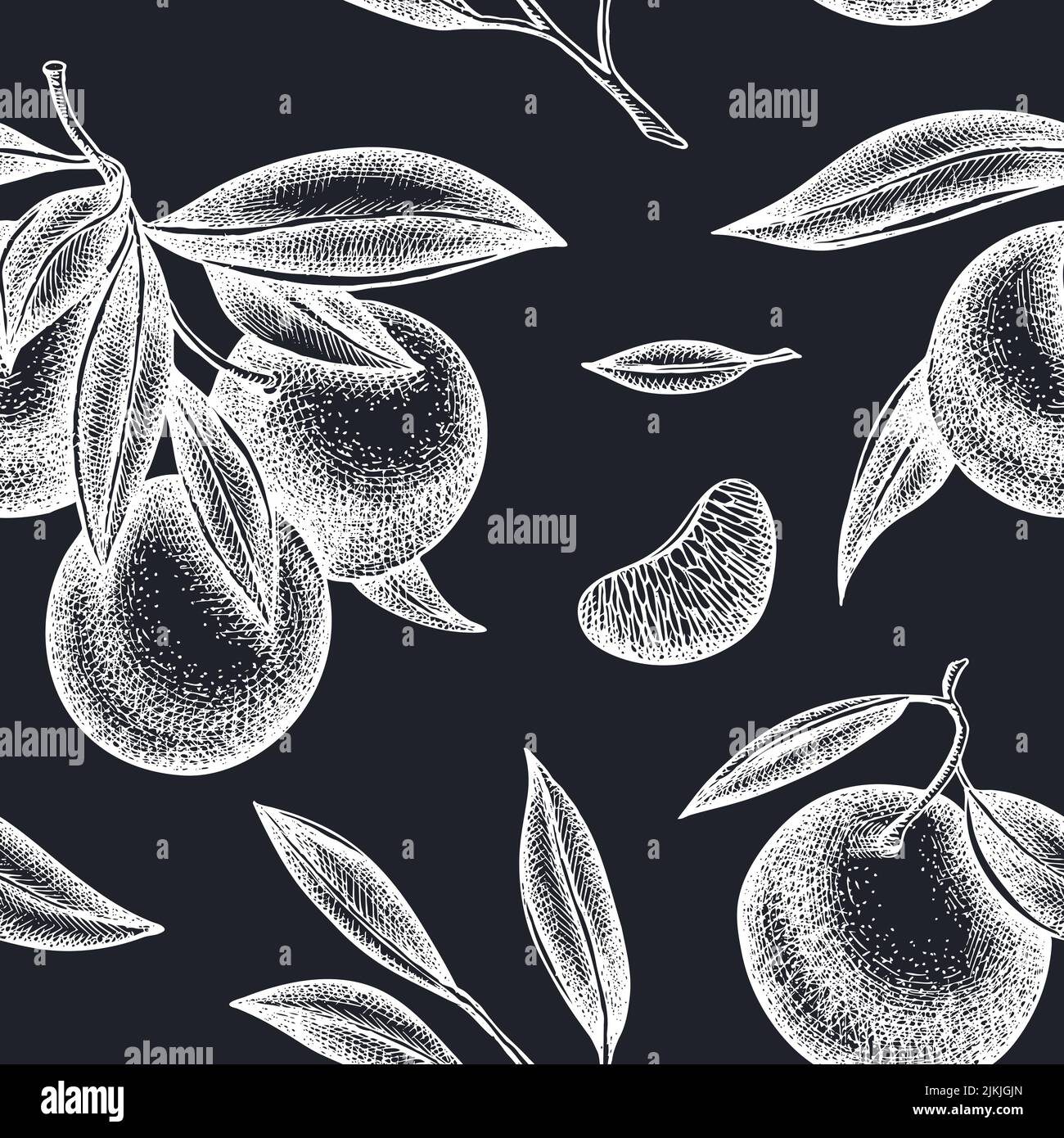 Citrus seamless pattern background design. Engraved style. Hand drawn mandarin Stock Vector ...