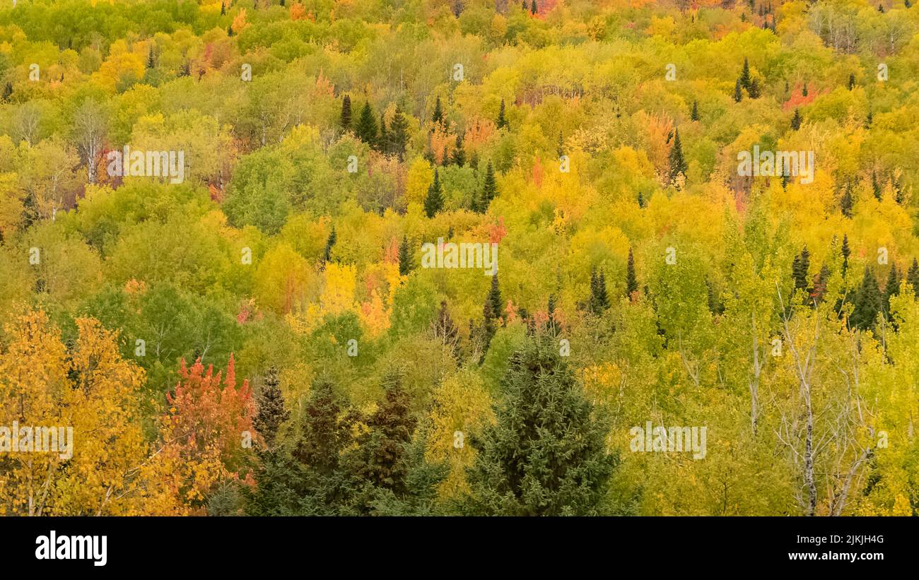 A Canada river red leaves forest quebec house hut lake Stock Photo - Alamy