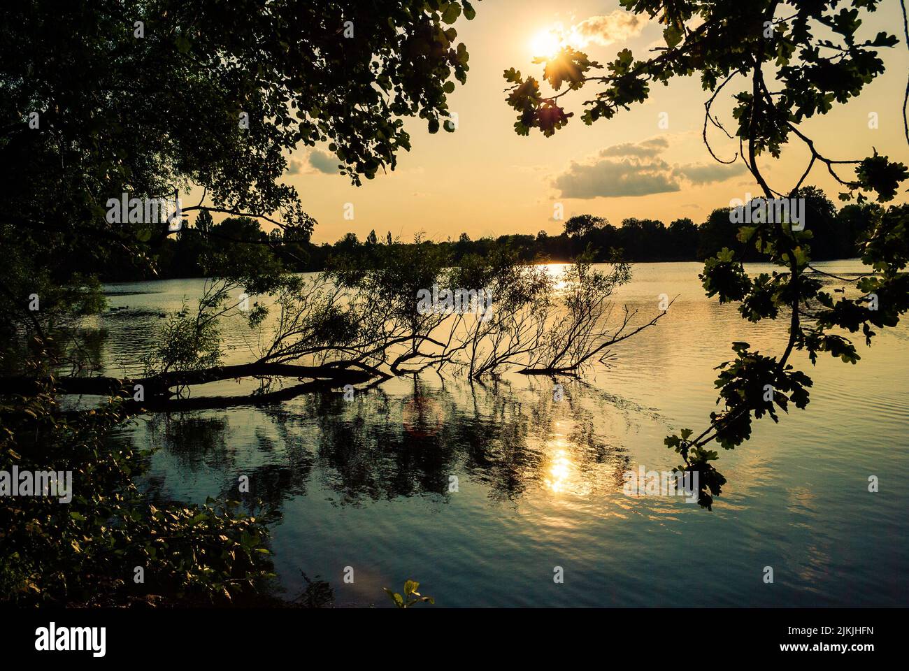 Sunlight sunset tranquil tree view water hi-res stock photography and ...