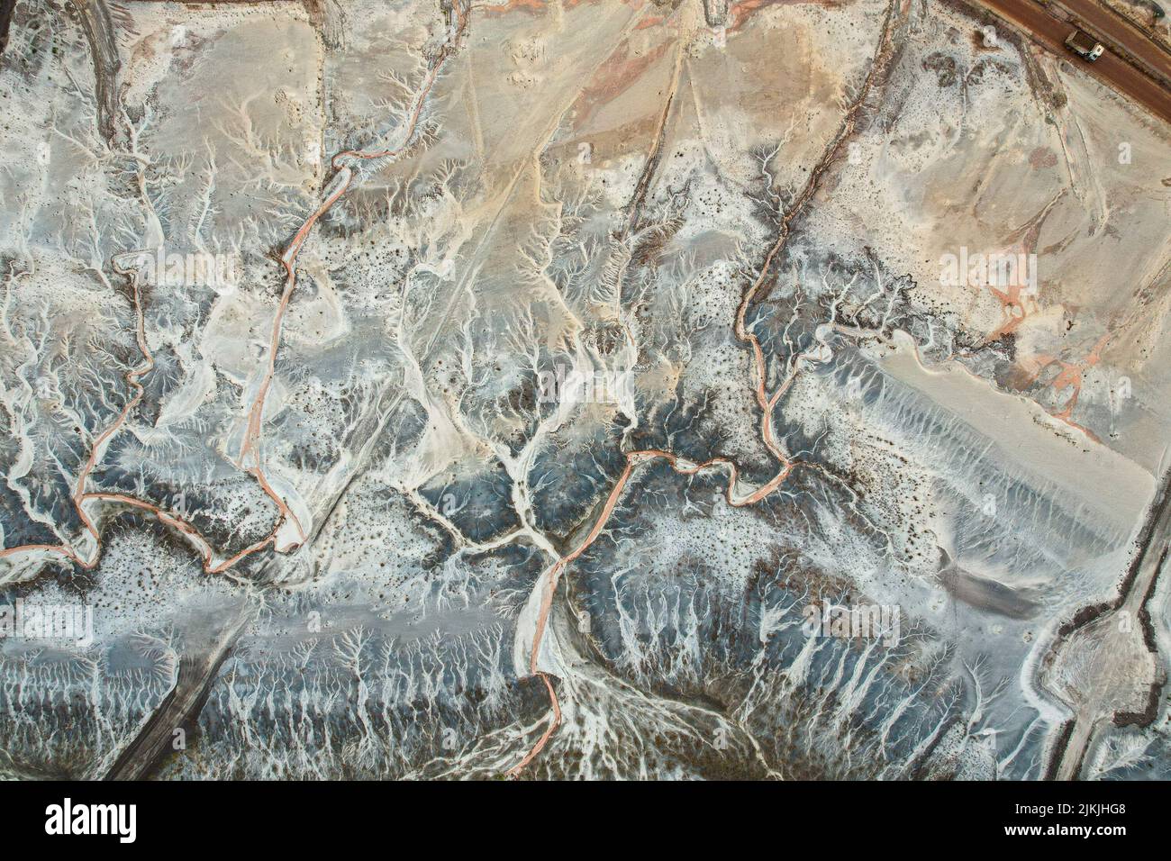 A closeup shot of a stone texture with root shape patterns Stock Photo ...