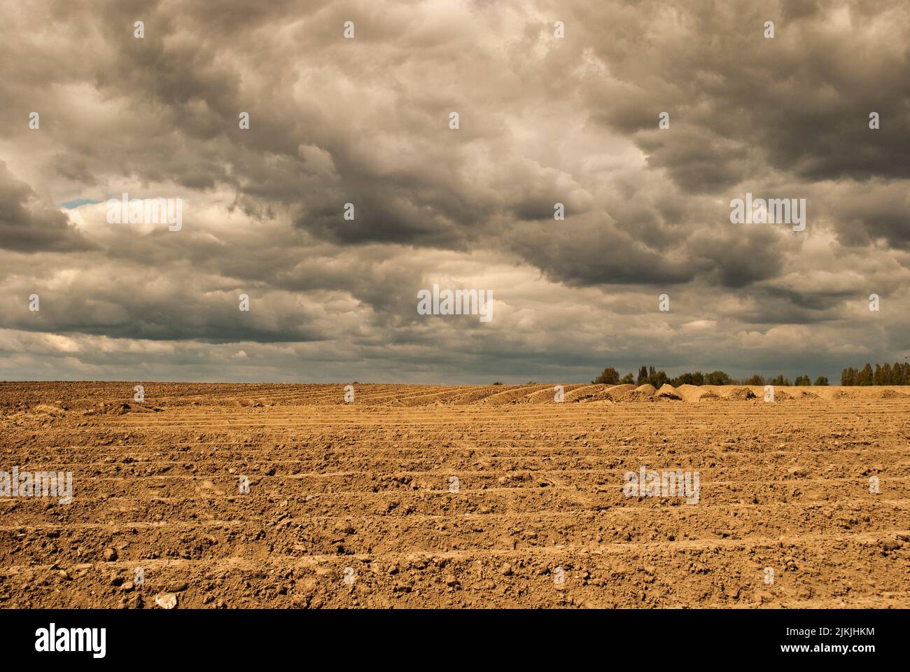 A scenic shot of an agricultural field under the cloudy moody sky Stock ...