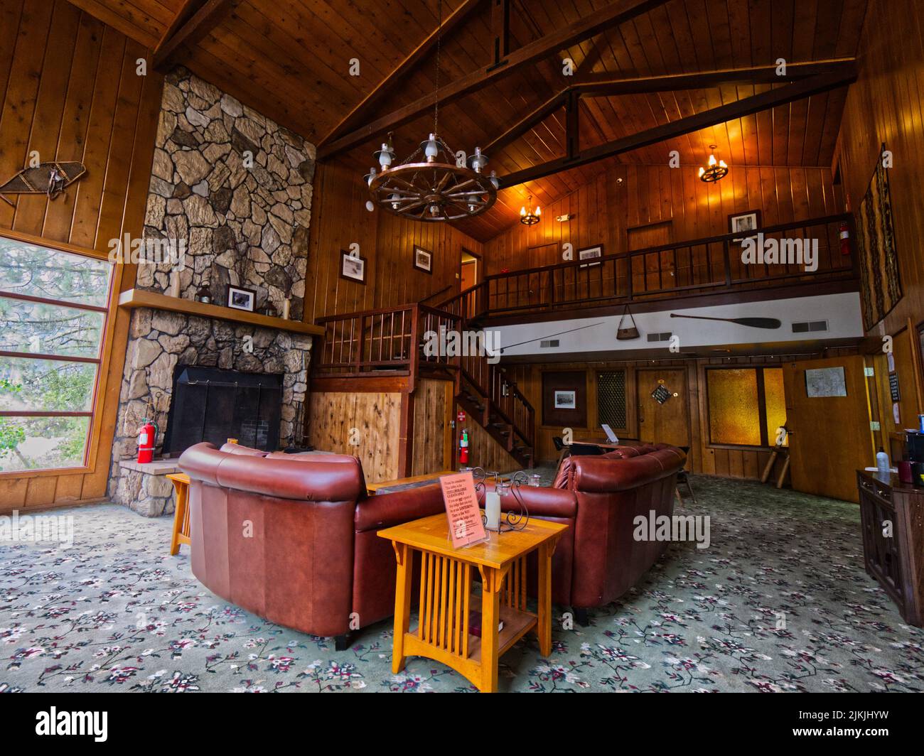 Sequoia forest hi-res stock photography and images - Alamy