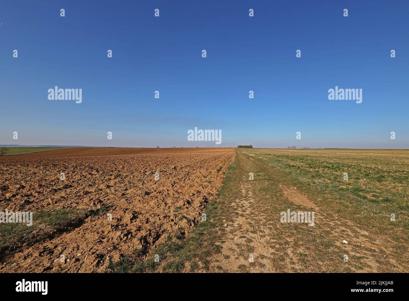 Field road next to plowed field in spring Stock Photo - Alamy