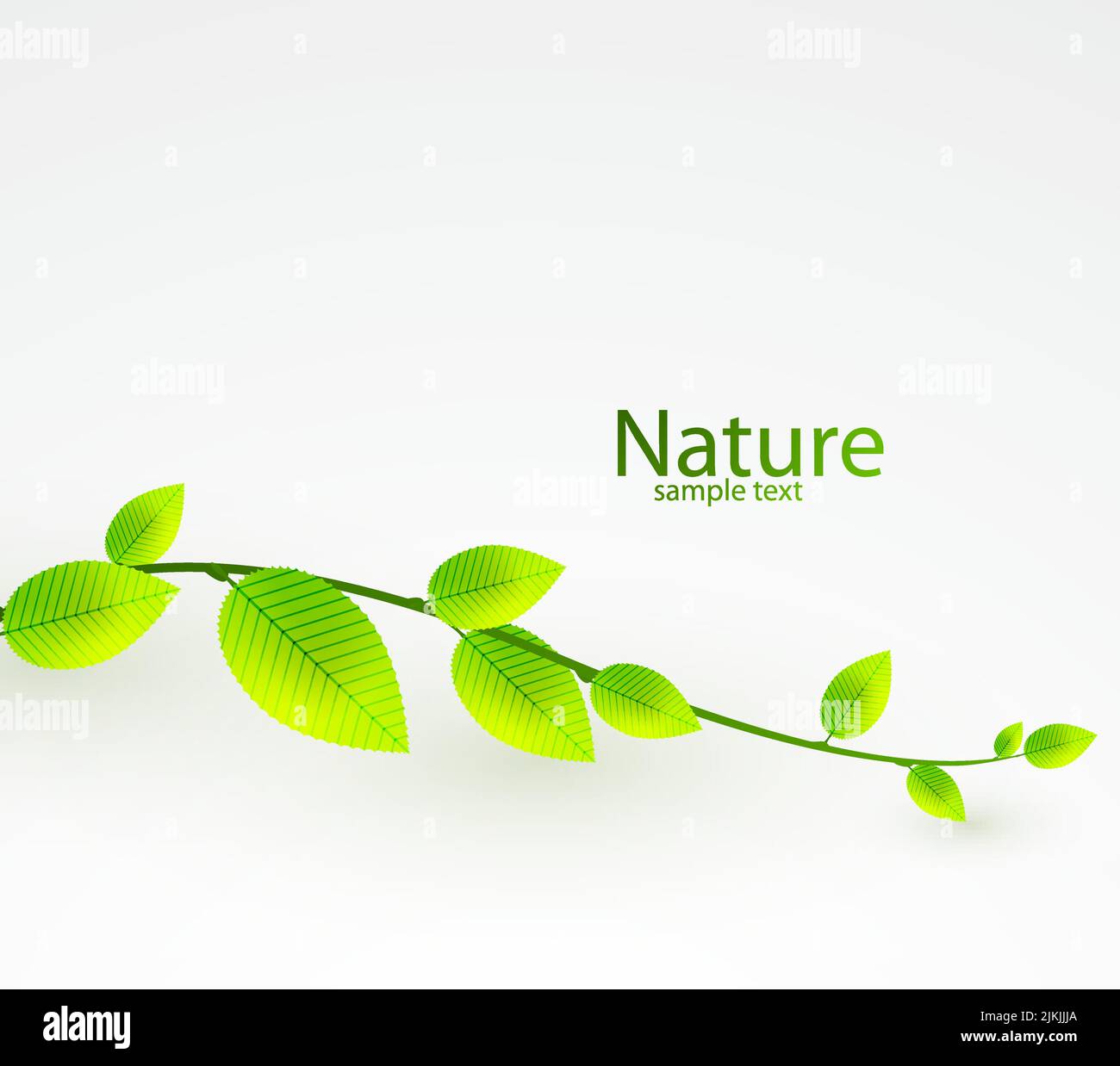 Nature background with green leaves Stock Vector Image & Art - Alamy