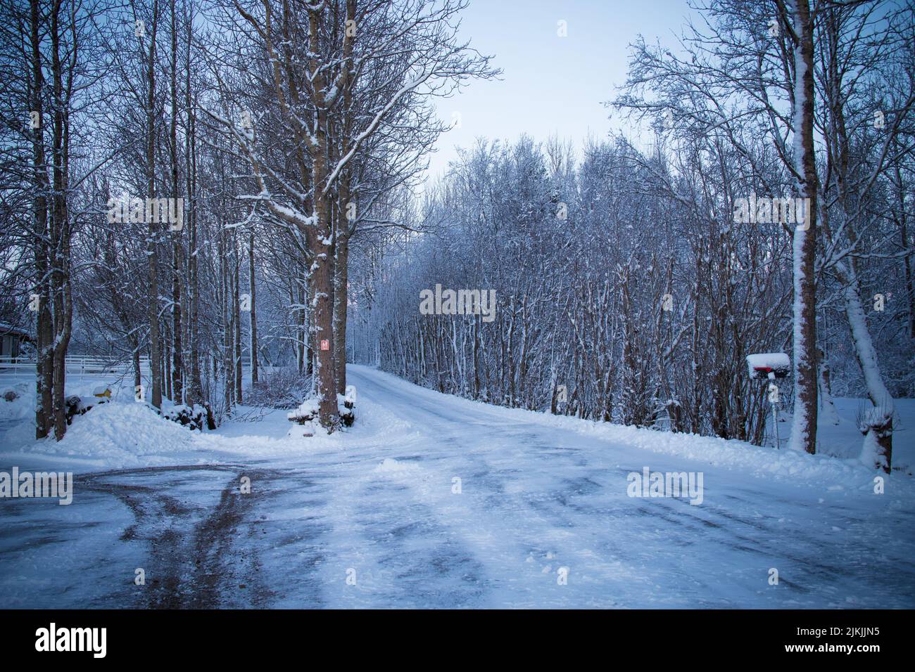 A chilling view of a snow-covered road and trees in the countryside ...