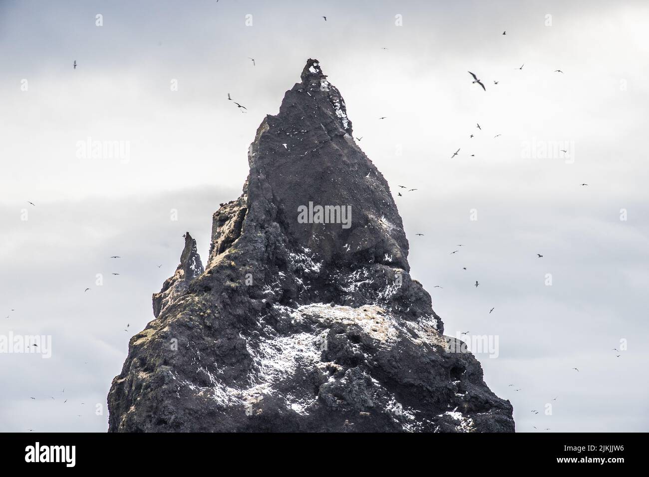 Birds flying around hi-res stock photography and images - Alamy