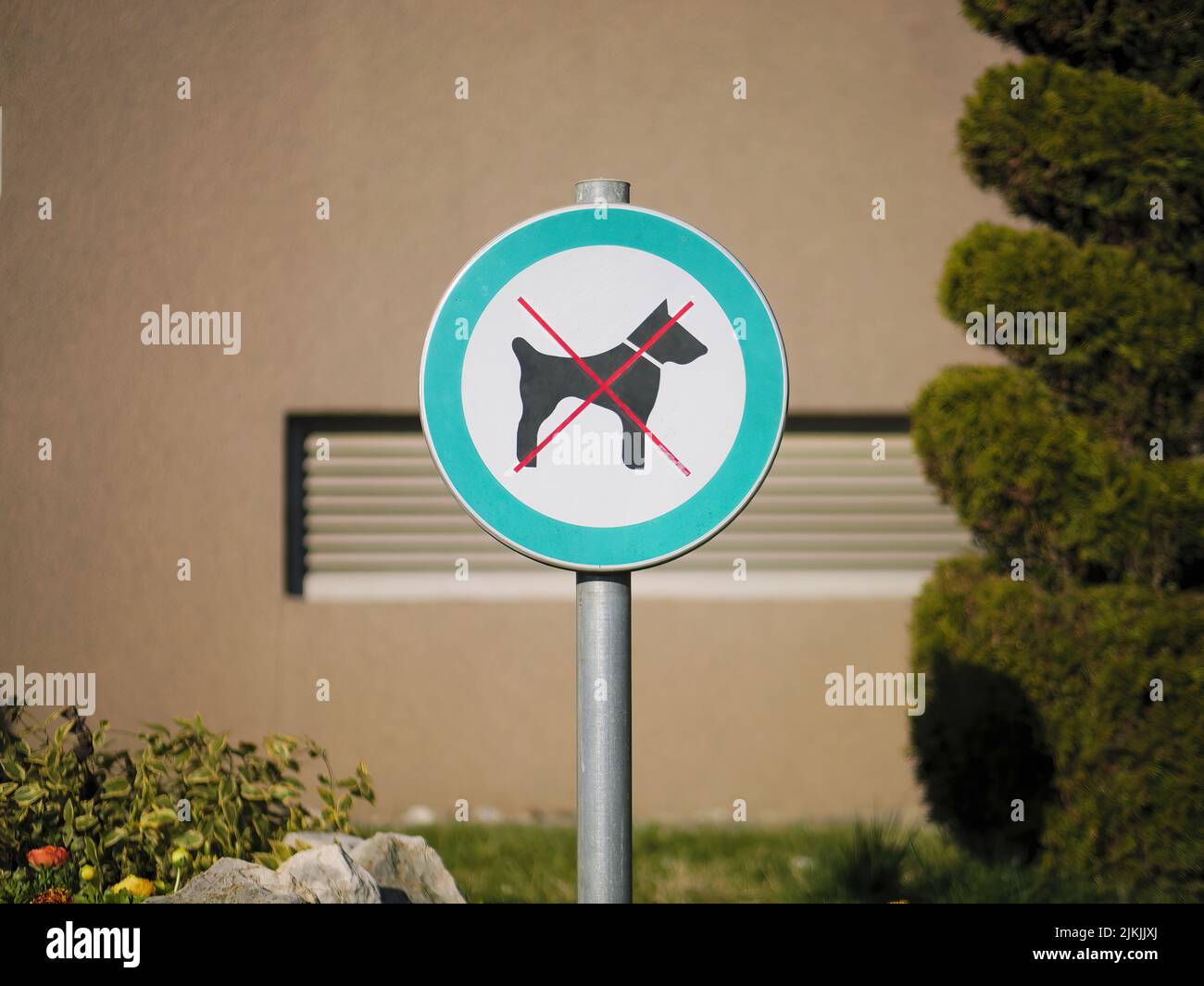 Stop sign on road surface hi-res stock photography and images - Alamy