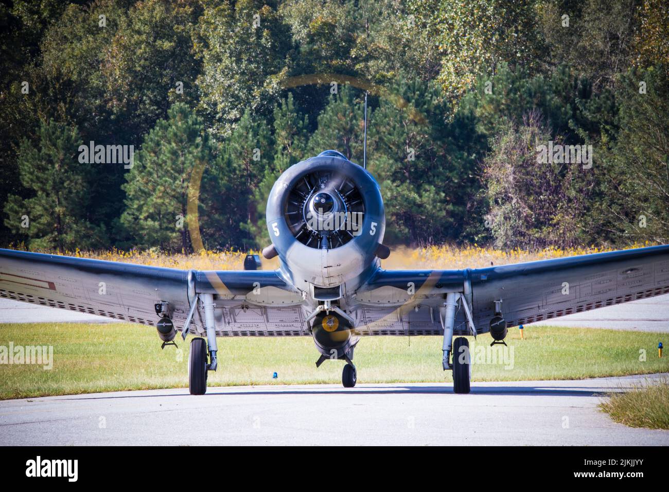 A beautiful shot of a black Dive bomber Aircraft ready to take off with ...