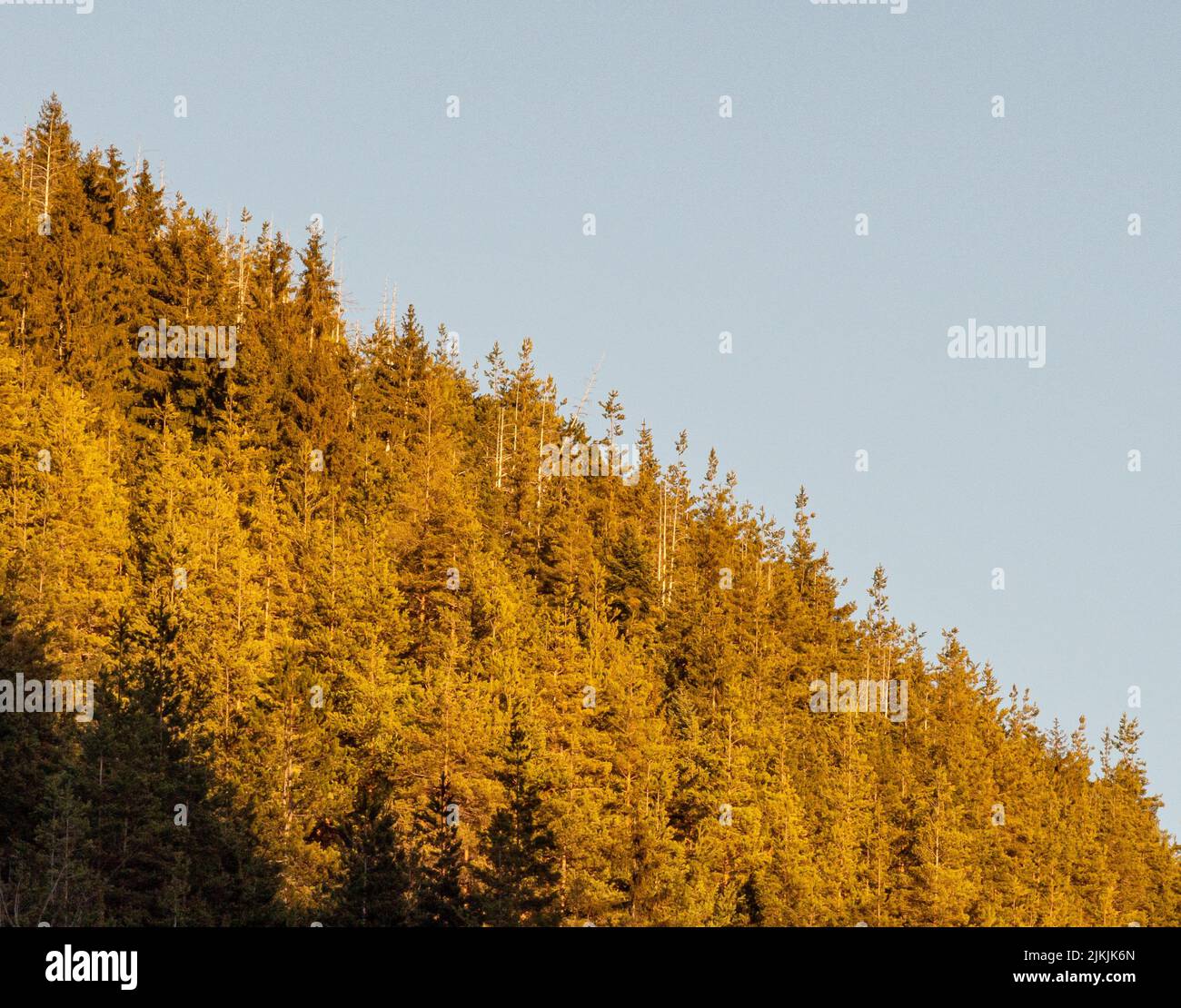 Hillside texture hi-res stock photography and images - Alamy