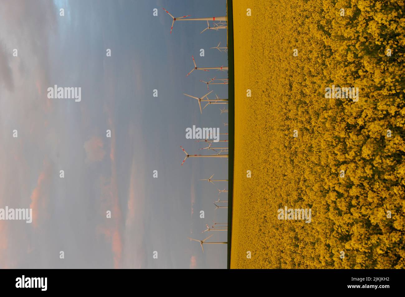 Germany, Thuringia, rape fields and wind turbines near Naumburg Stock ...