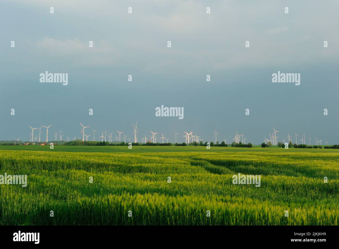 Germany, Thuringia, grain fields and wind turbines near Naumburg Stock ...