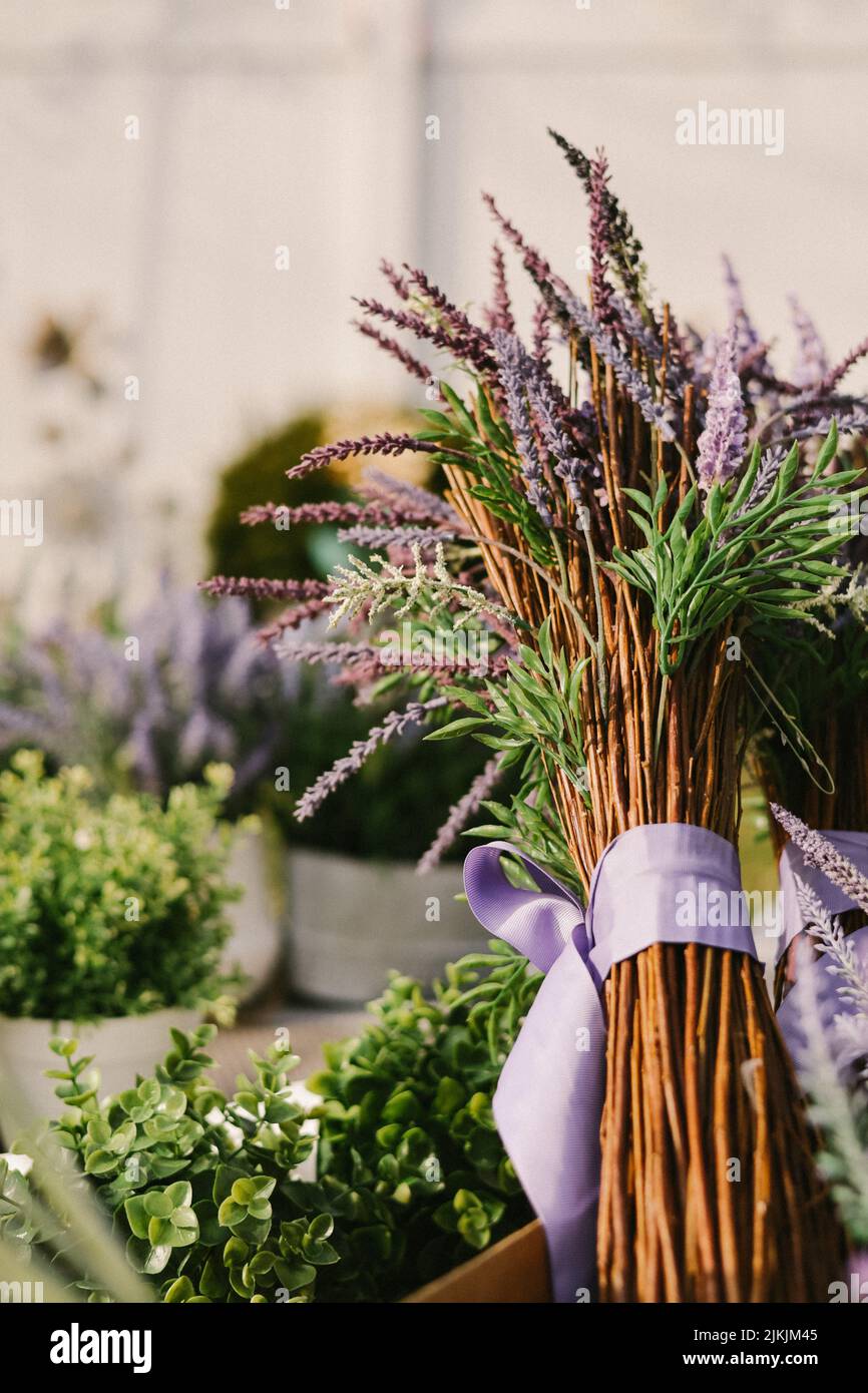 A closeup of lavender flowers tied with a purple ribbon Stock Photo - Alamy