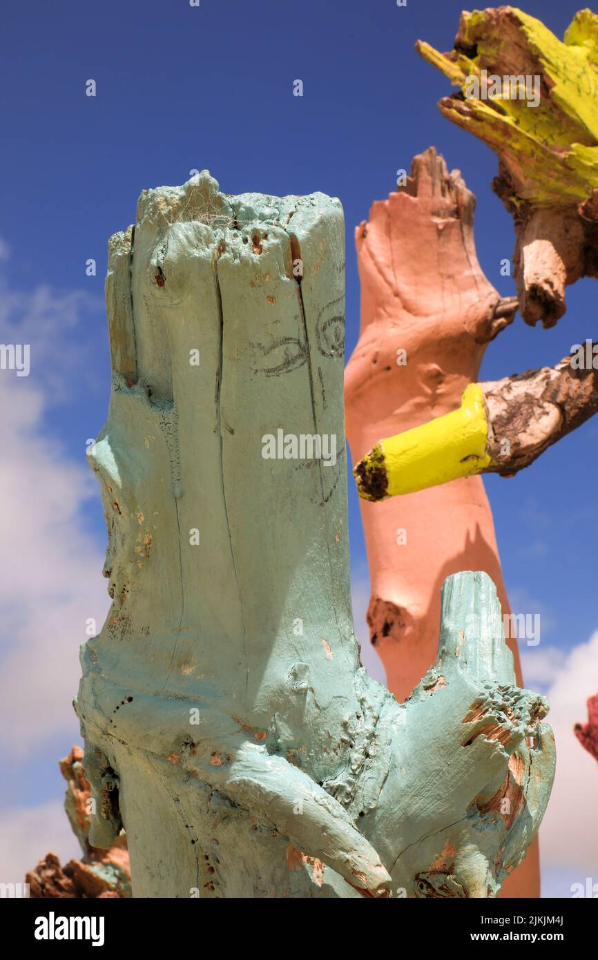 Trunks on the beach hi-res stock photography and images - Alamy