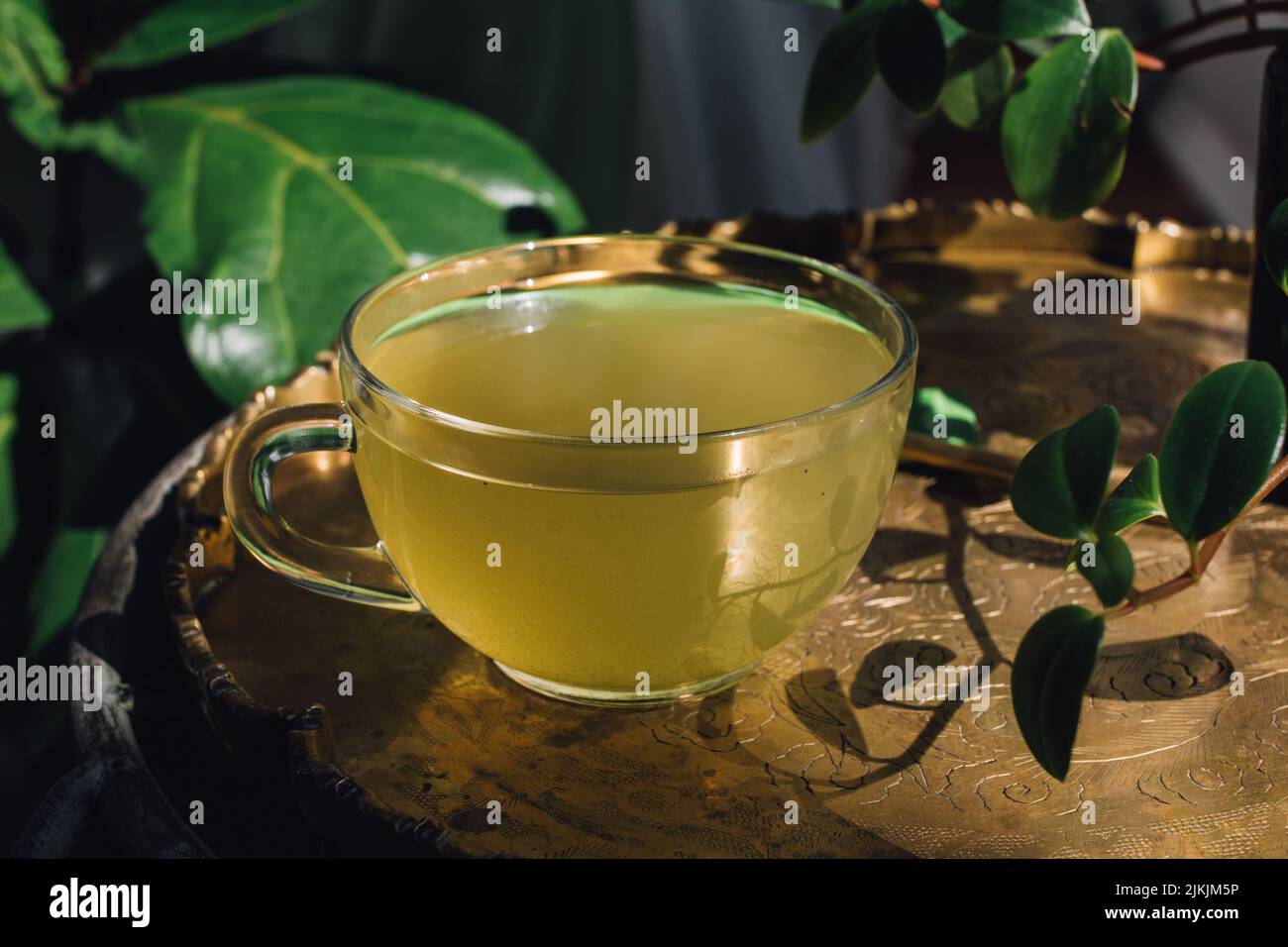 green tea in clear cup with plants Stock Photo - Alamy