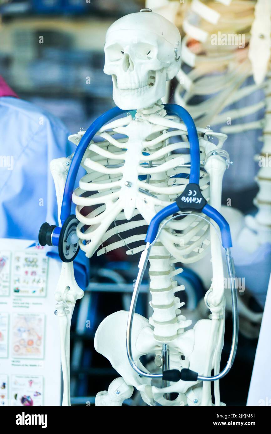 Skeleton in a shopwindow, Thessaloniki, Macedonia, North-Eastern Greece ...
