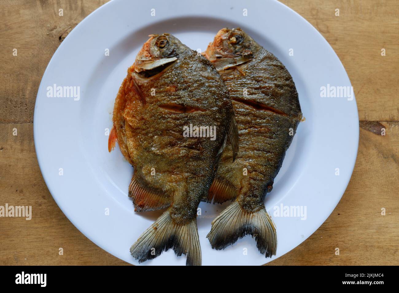Pomfret fish white background hi-res stock photography and images - Alamy
