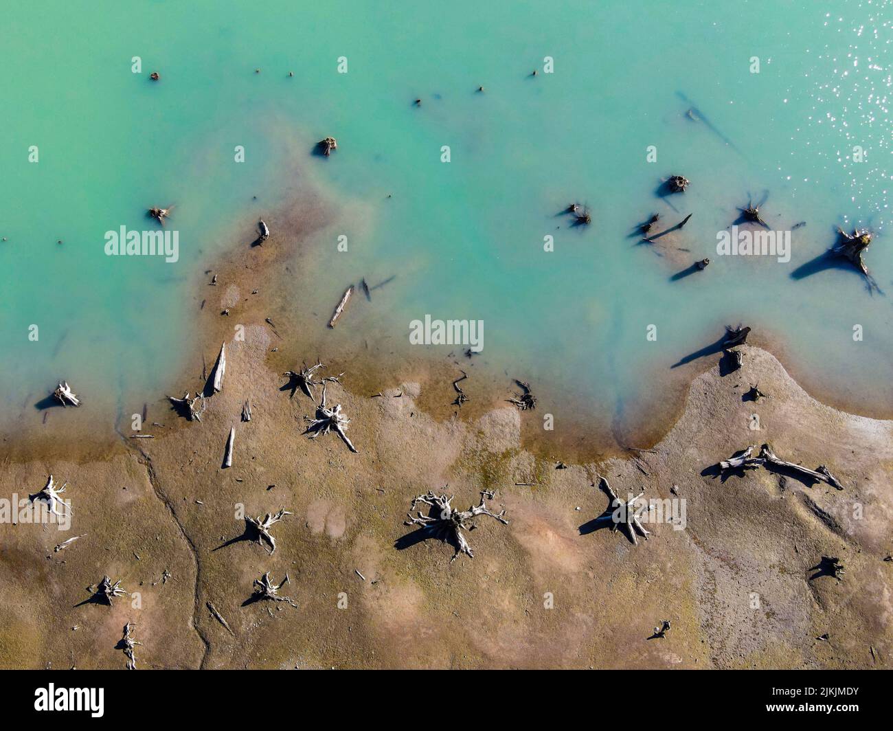 An aerial view of many cut tree trunks on the beach next to the sea ...