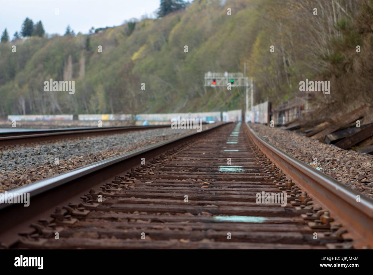 The railroad tracks along the pacific coast Stock Photo - Alamy