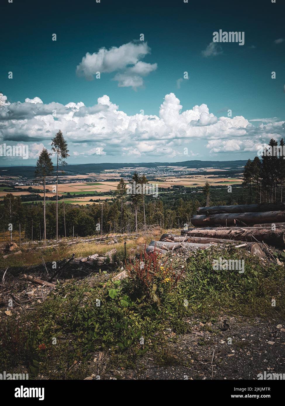 A vertical view of rural fields Stock Photo - Alamy