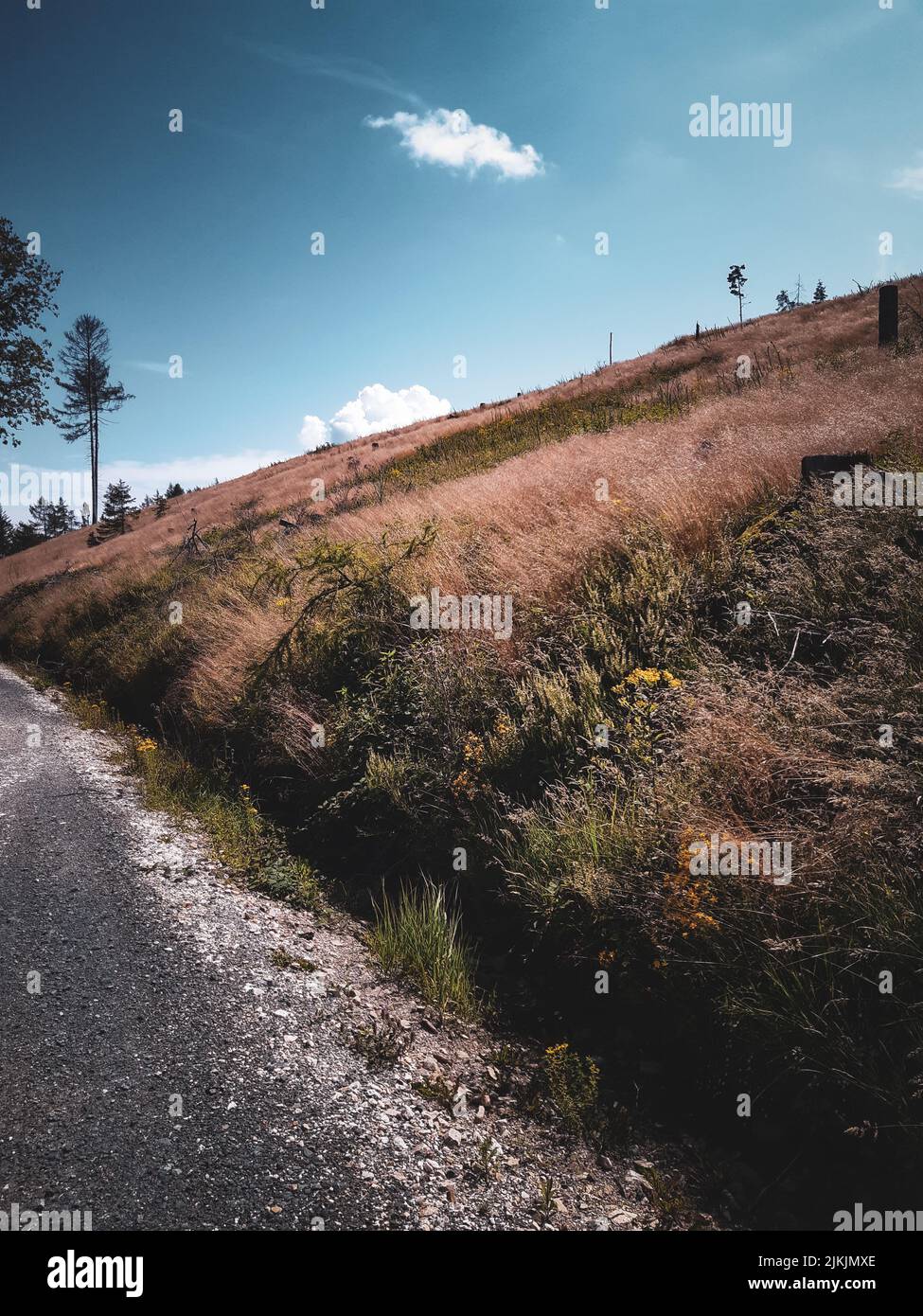 Vertical rural view hi-res stock photography and images - Alamy