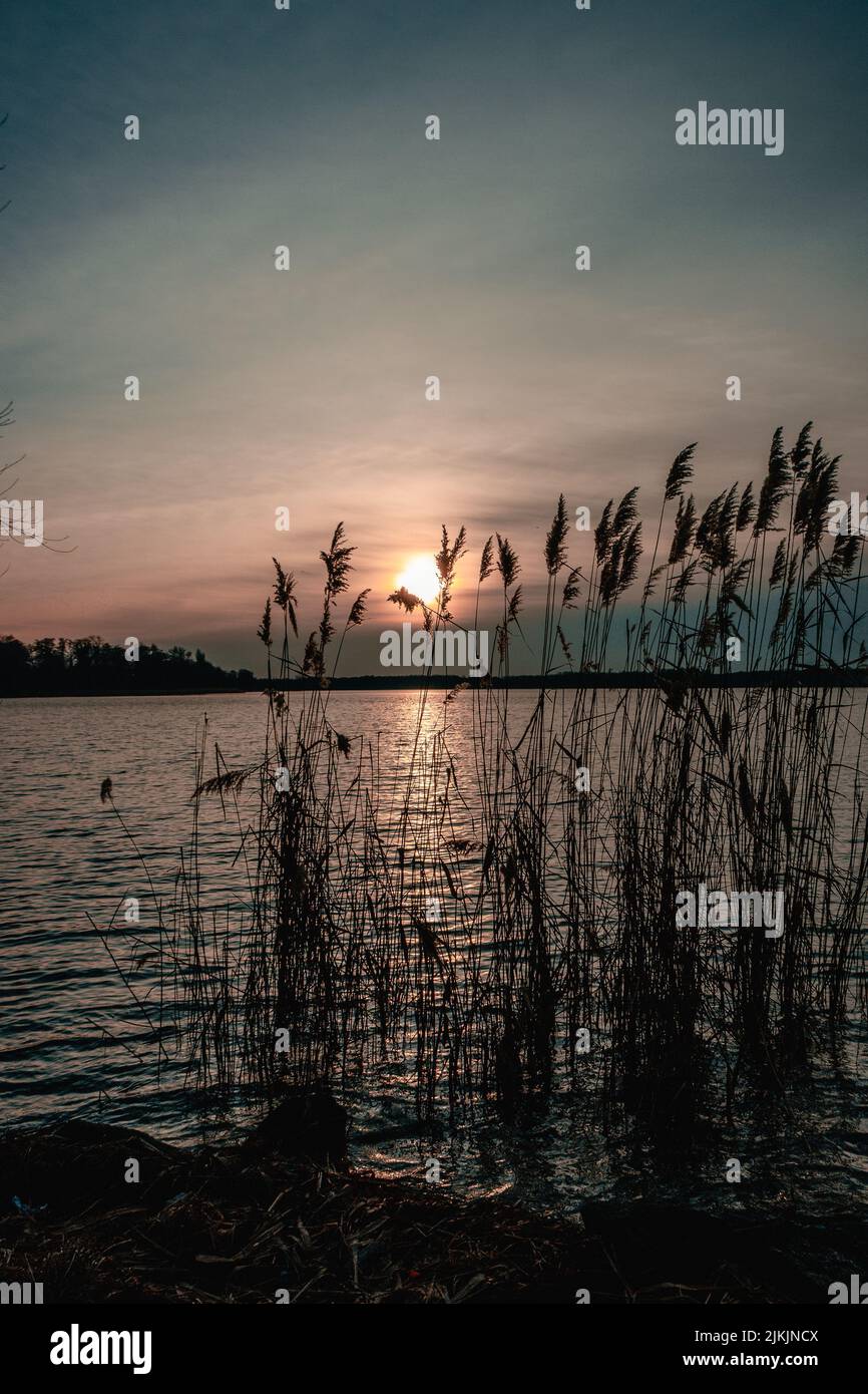 A scenic sunset at Lake Tegel connected to the River Havel in Berlin ...