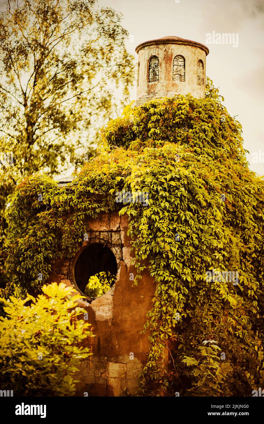 A beautiful stone abandoned religious building overgrown with green ...