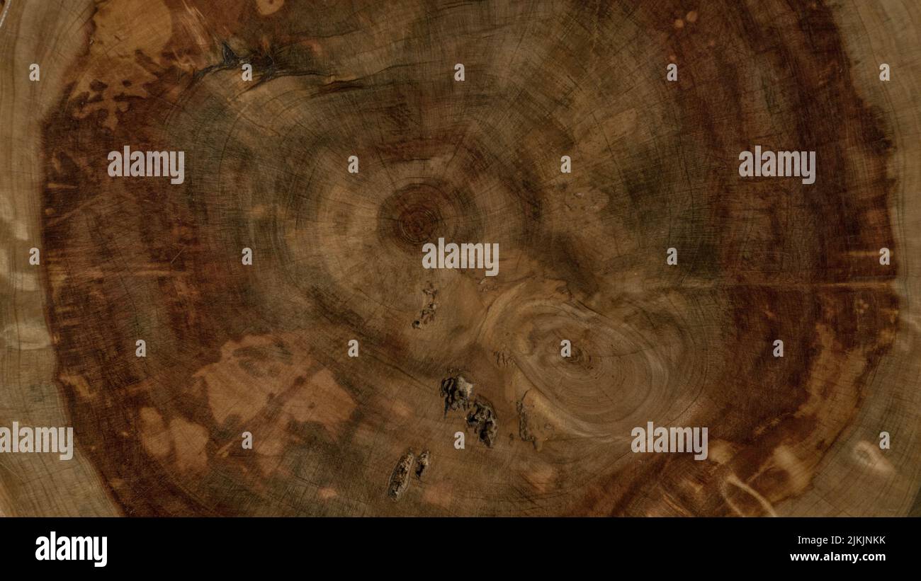 Cut wood texture hi-res stock photography and images - Alamy