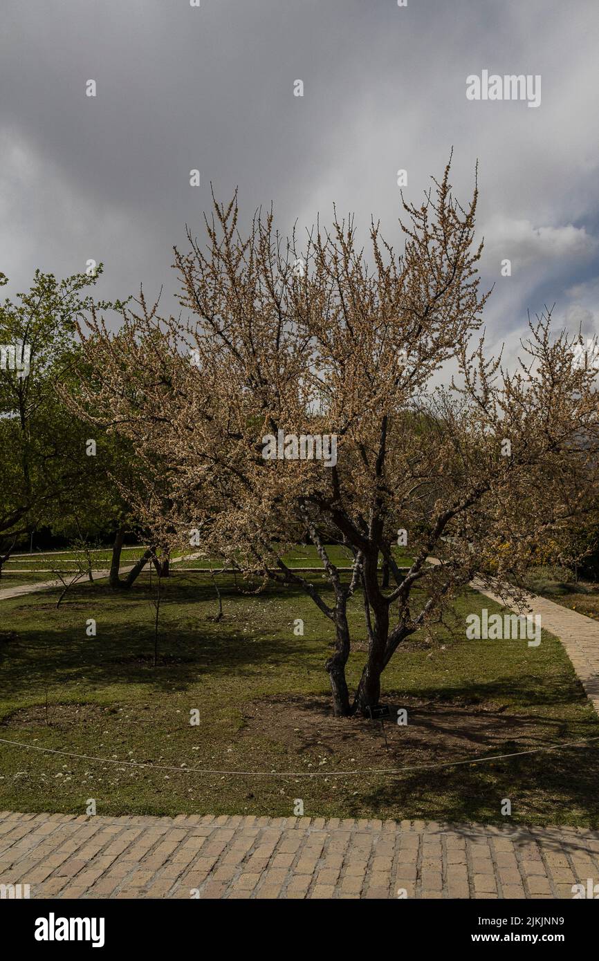 A National Botanical Garden in Tehran, Iran Stock Photo - Alamy