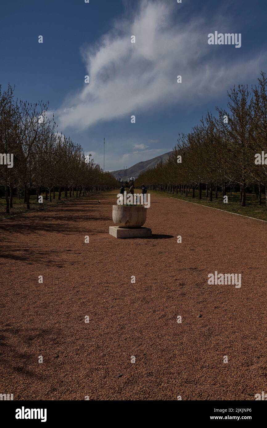 A vertical of a pathway through green trees and bushes in National ...