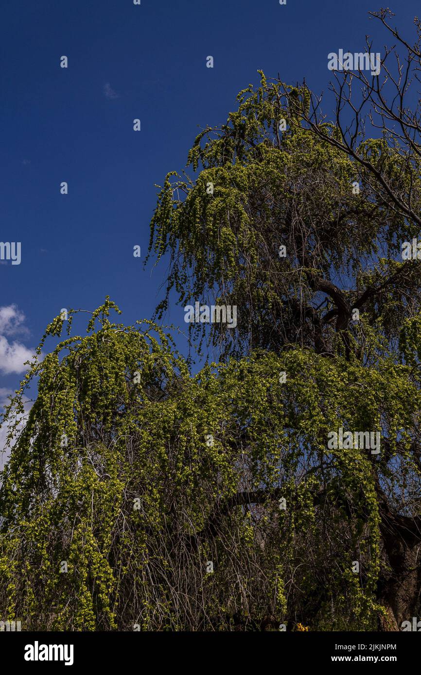 National botanical garden of iran hi-res stock photography and images ...