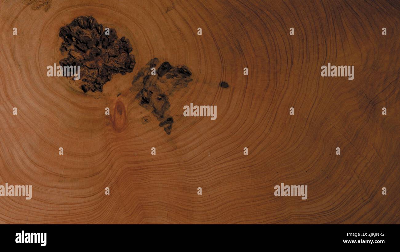 Cut wood texture hi-res stock photography and images - Alamy