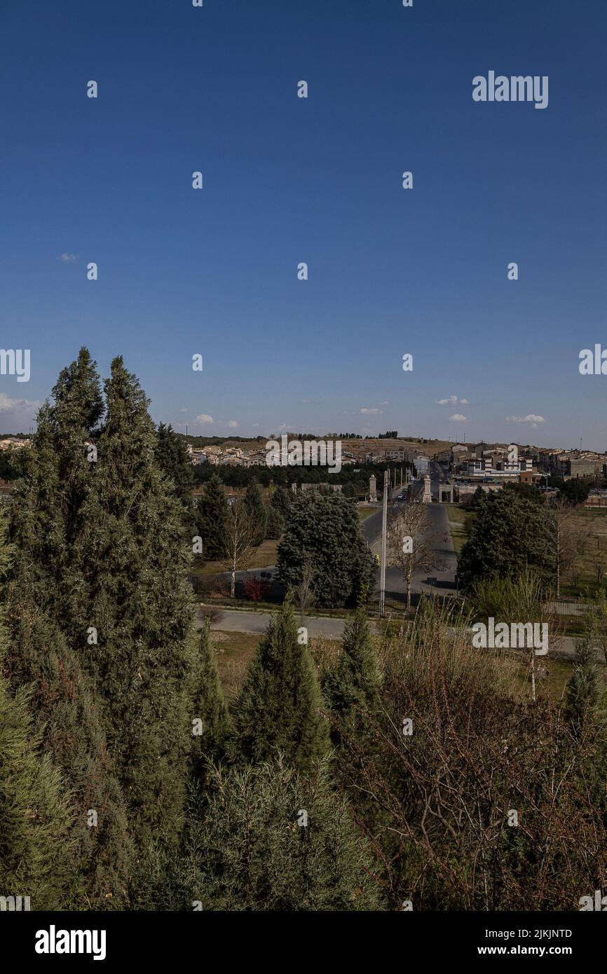 A vertical shot of green trees and bushes in National Iranian Botanical ...