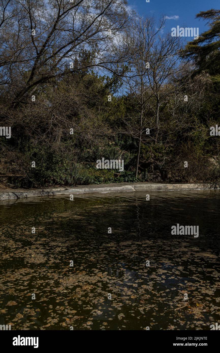 A vertical of a pond against green trees and bushes in National Iranian ...
