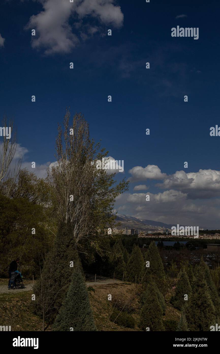 A vertical shot of green trees and bushes in National Iranian Botanical ...