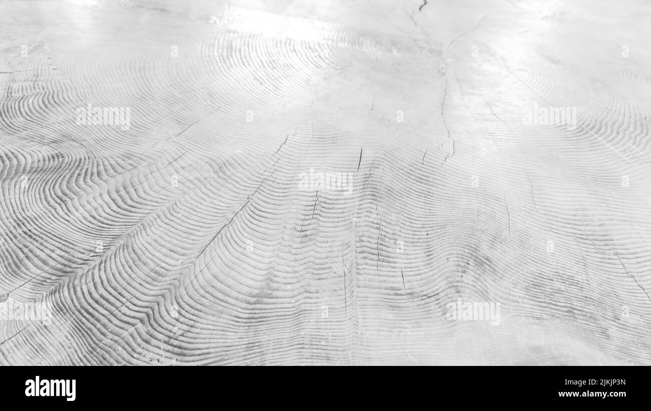 White textured surface hi-res stock photography and images - Alamy