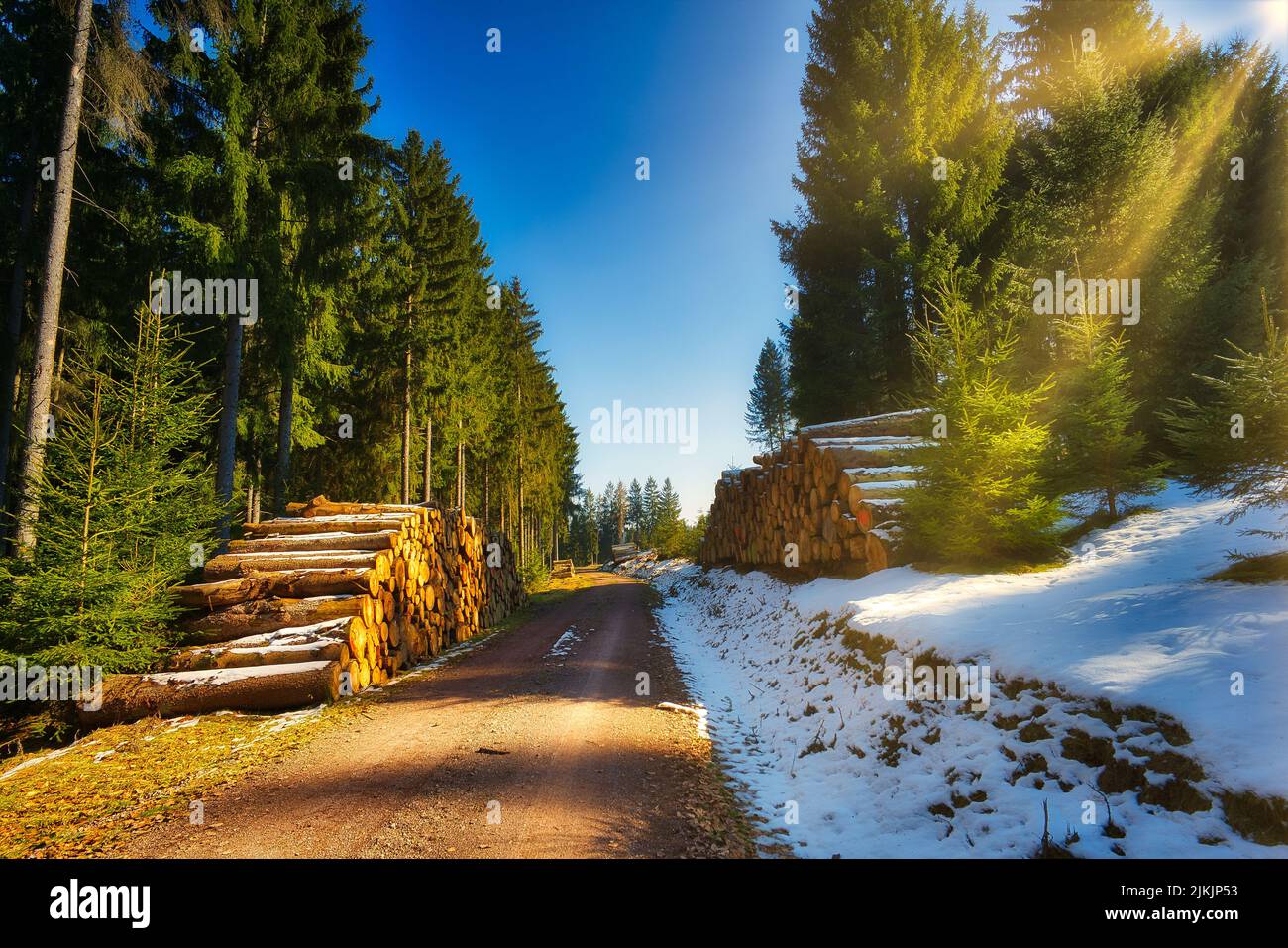 The Rennsteig, a ridge walk through the Thuringian Forest, Germany ...
