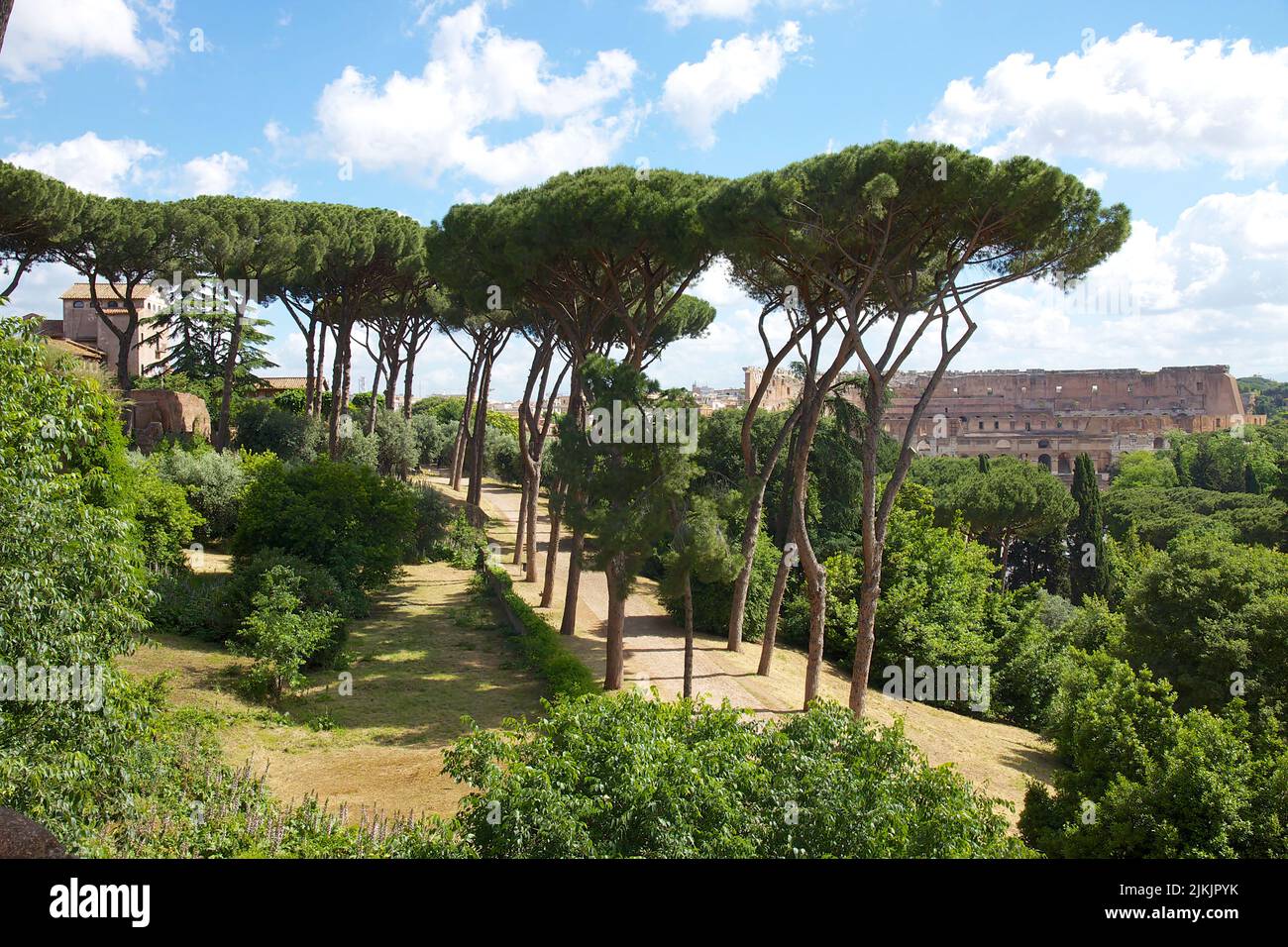 A scenic view of a pathway of green trees and bushes against Palatine ...