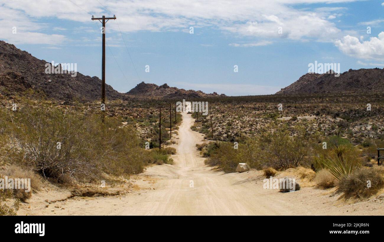 Vegetation in a desert hi-res stock photography and images - Alamy