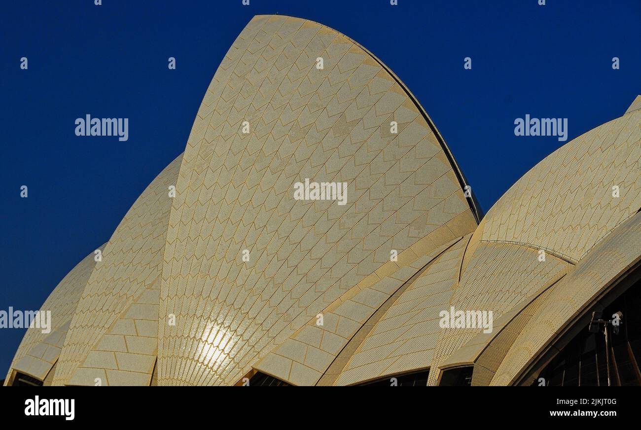 Unique shell structure hi-res stock photography and images - Alamy